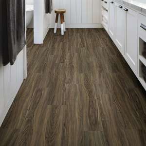 Shaw Endura Plus Walnut Cinnimon 0736V-00150 Spc Vinyl Flooring – Truly ...